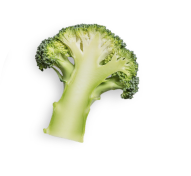 Our Menu | CookUnity