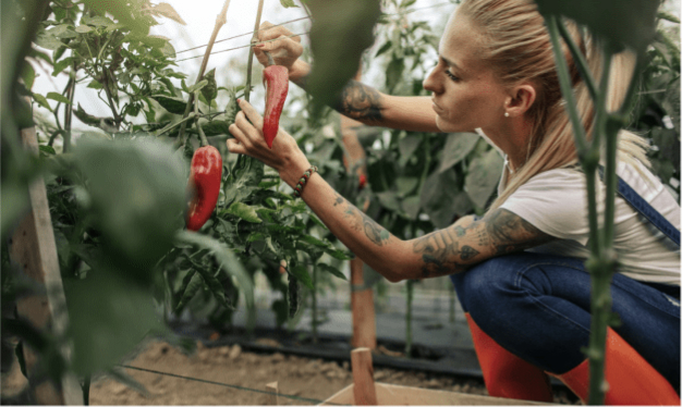 Why CookUnity | CookUnity